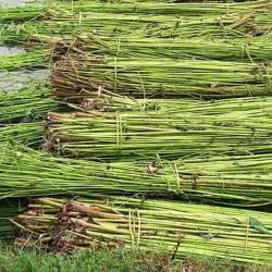 Jute Manufacturers in Pakistan, Jute Wholesale Suppliers and Exporters ...