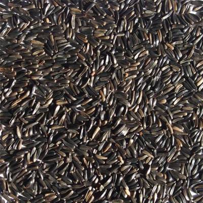 Sesame Seeds Manufacturers in Qatar, Sesame Seeds Wholesale Suppliers ...